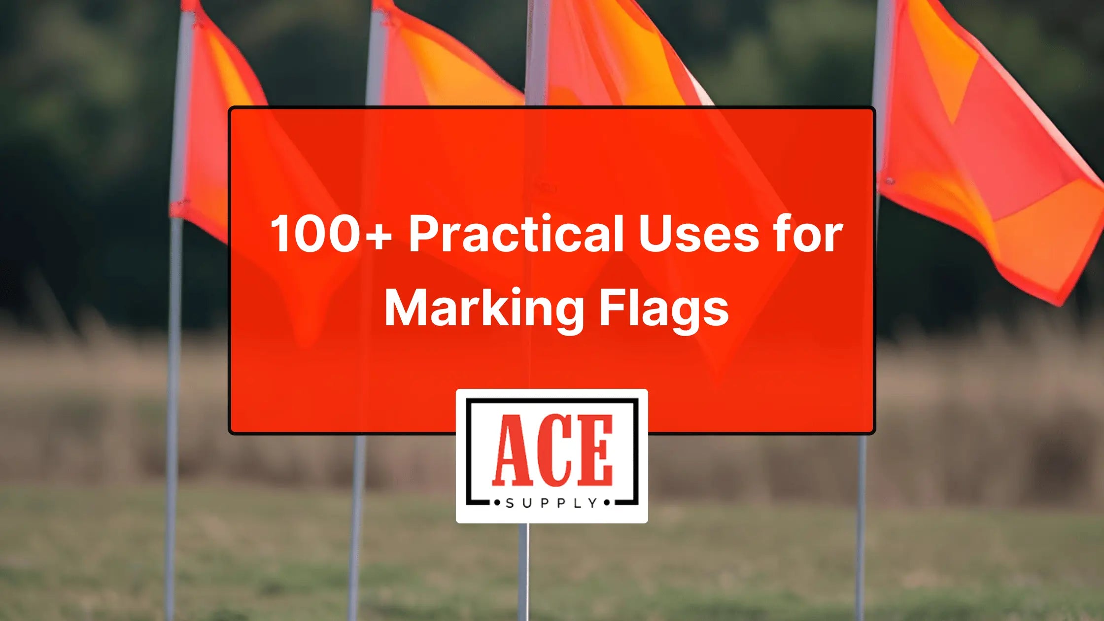 100+ Practical Uses for Marking Flags Across Industries - ACE Supply