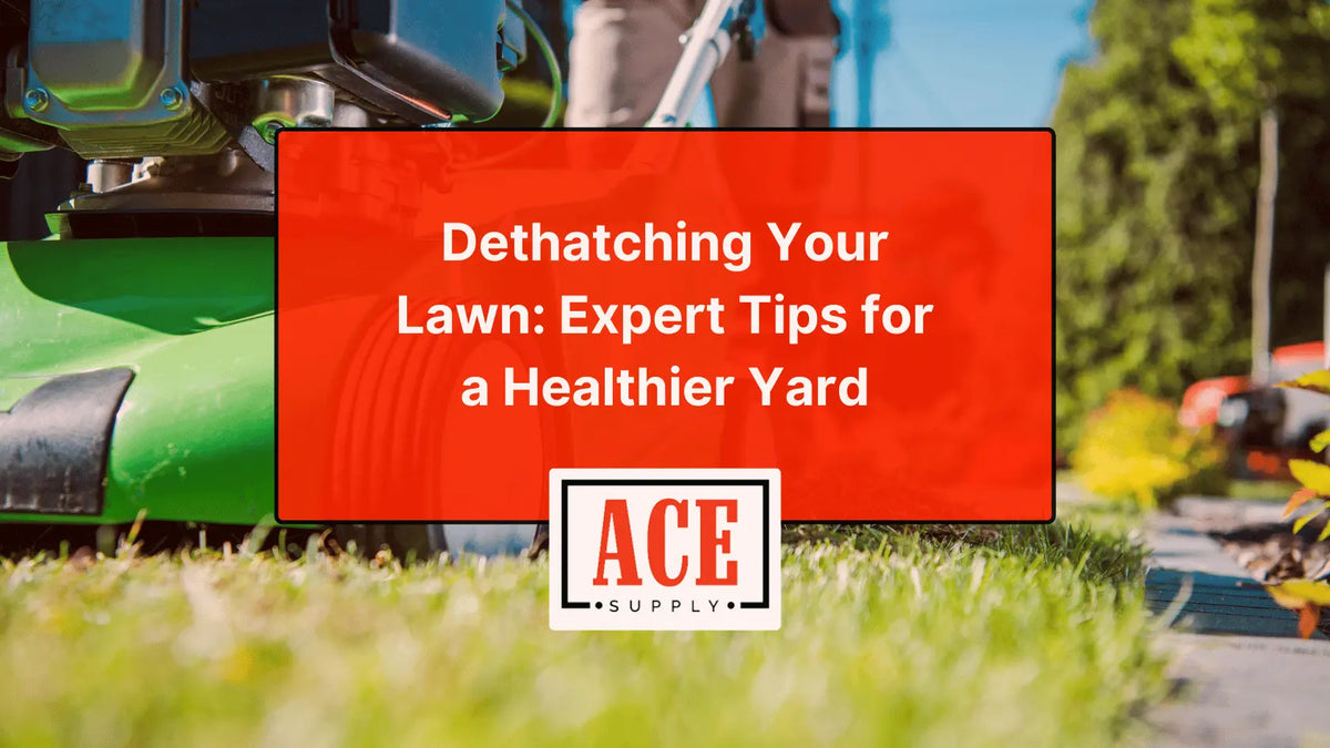 Dethatching Your Lawn: Tips for a Healthier, Greener Yard — ACE Supply