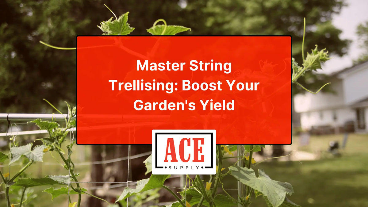Master Garden String Trellising: Boost Your Garden's Yield — ACE Supply