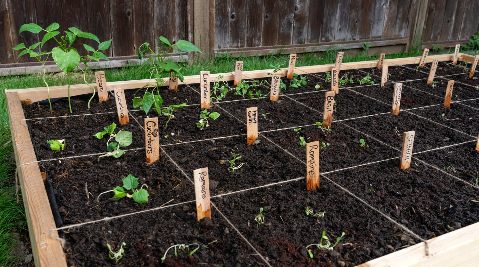 String Line: Essential Tool for Construction — ACE Supply
