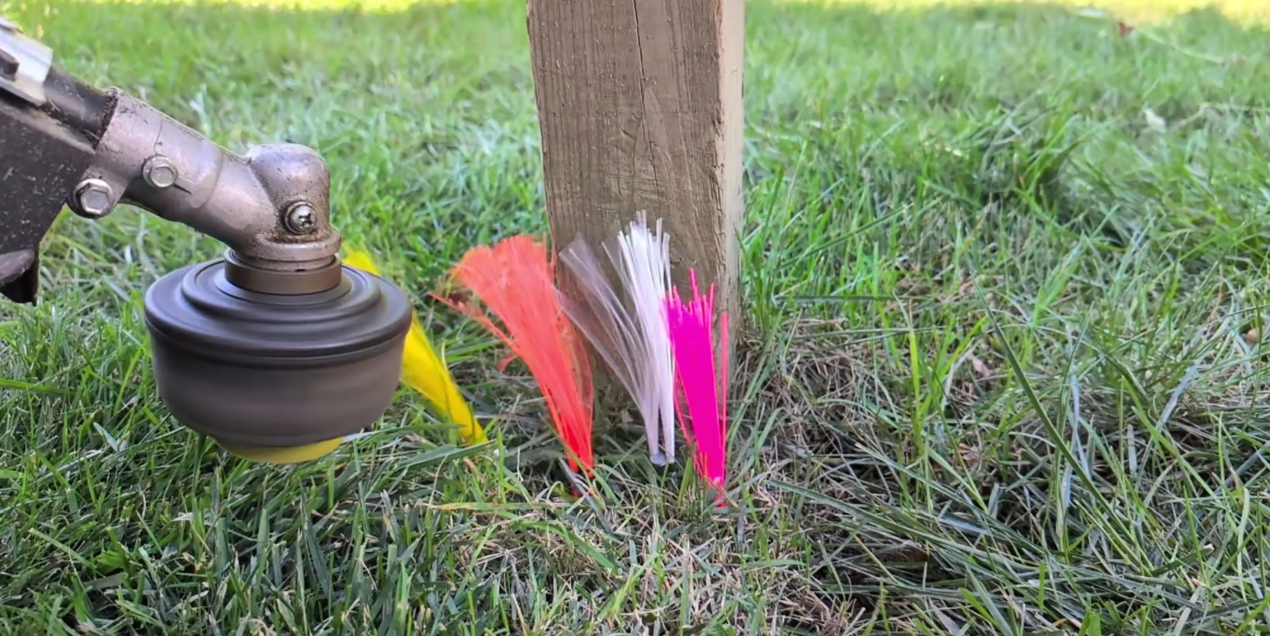 Marking Whiskers: Definition and Uses — ACE Supply